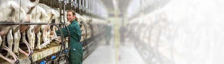 Roots, dat werkt! – Vacatures | bijbanen | personeel